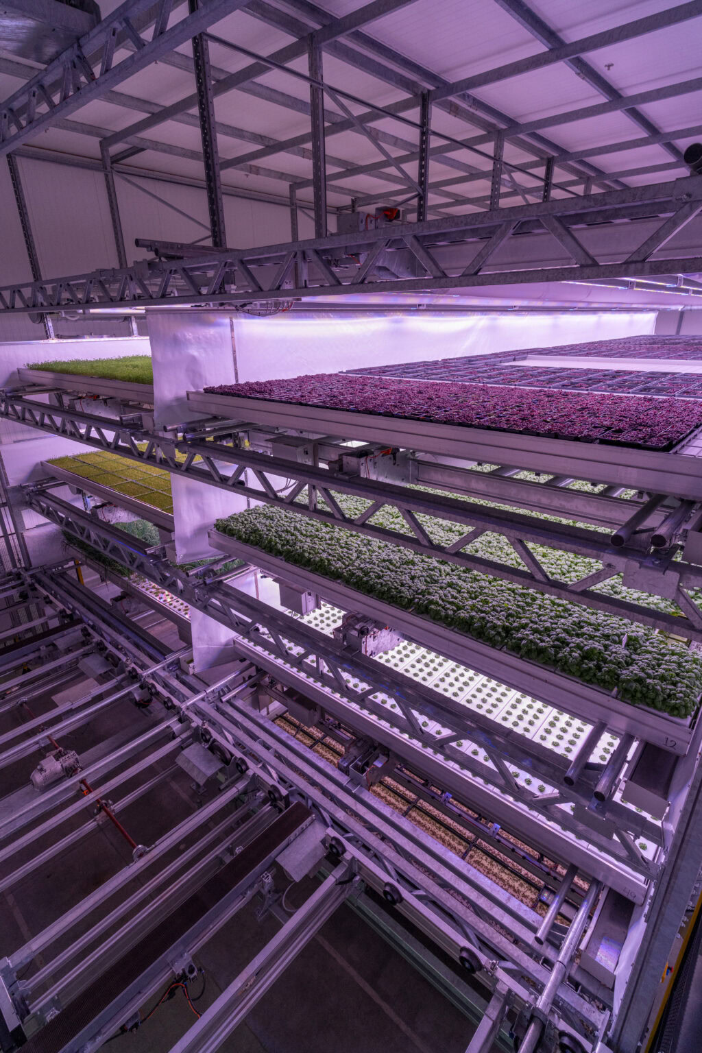 Vertical farming: complete, ready-to-use cultivation system